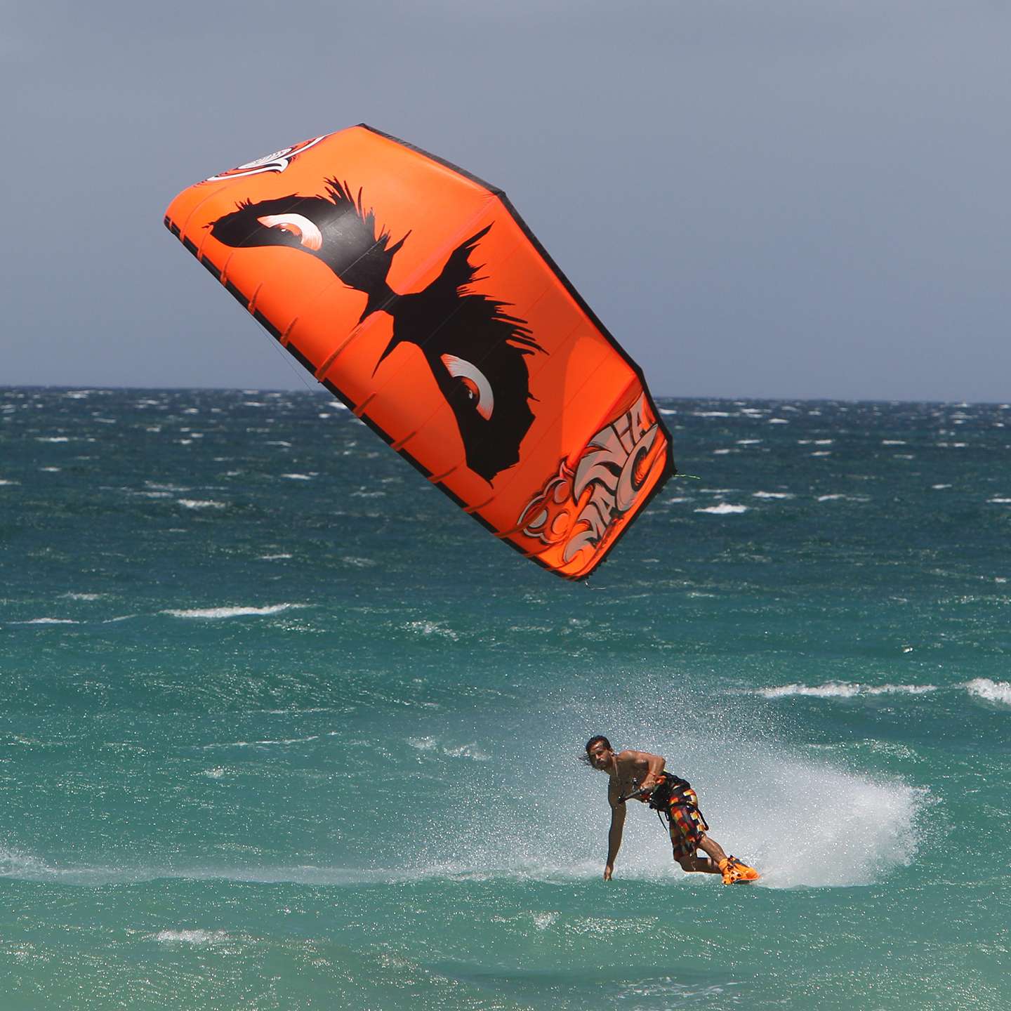 Kite mania store